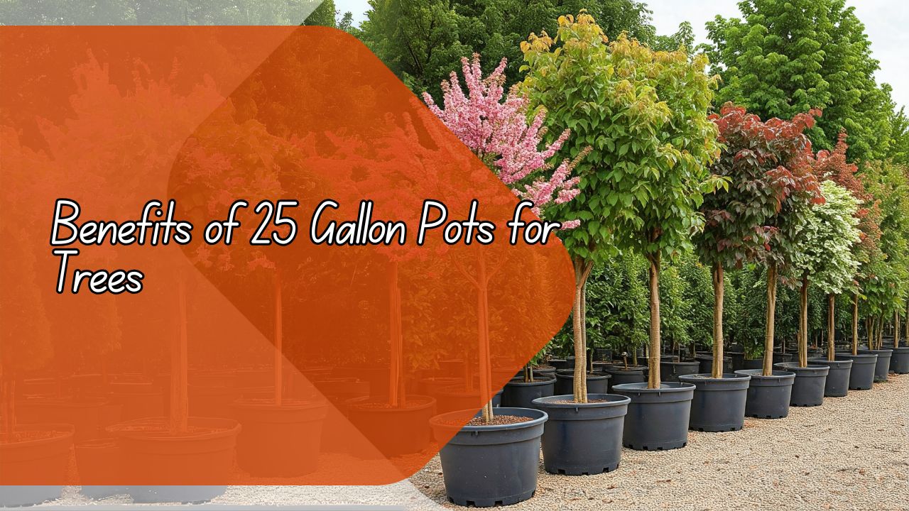 Choosing The Right Sized Pot: The Benefits Of 25 Gallon Pots For Trees