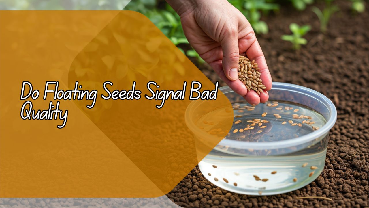 Do Floating Seeds Signal Bad Quality? Debunking The Myth