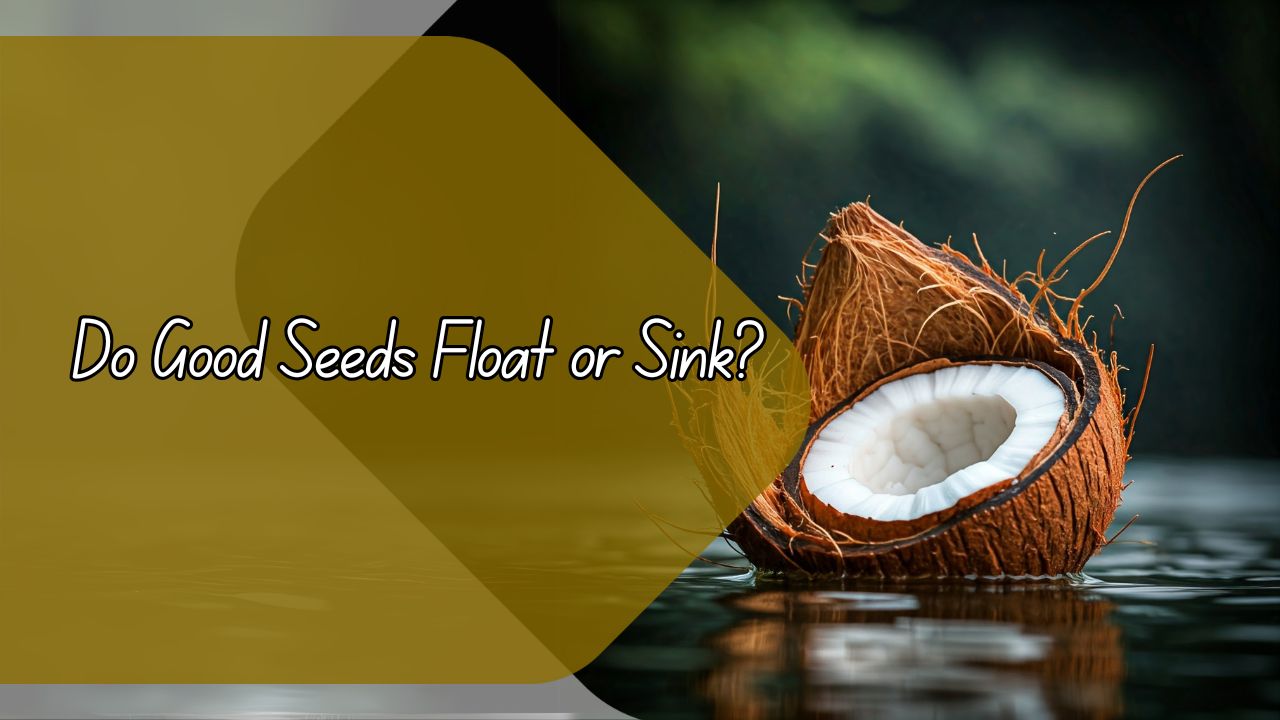 Do Good Seeds Float Or Sink? Exploring The Science Behind Seed Dispersal